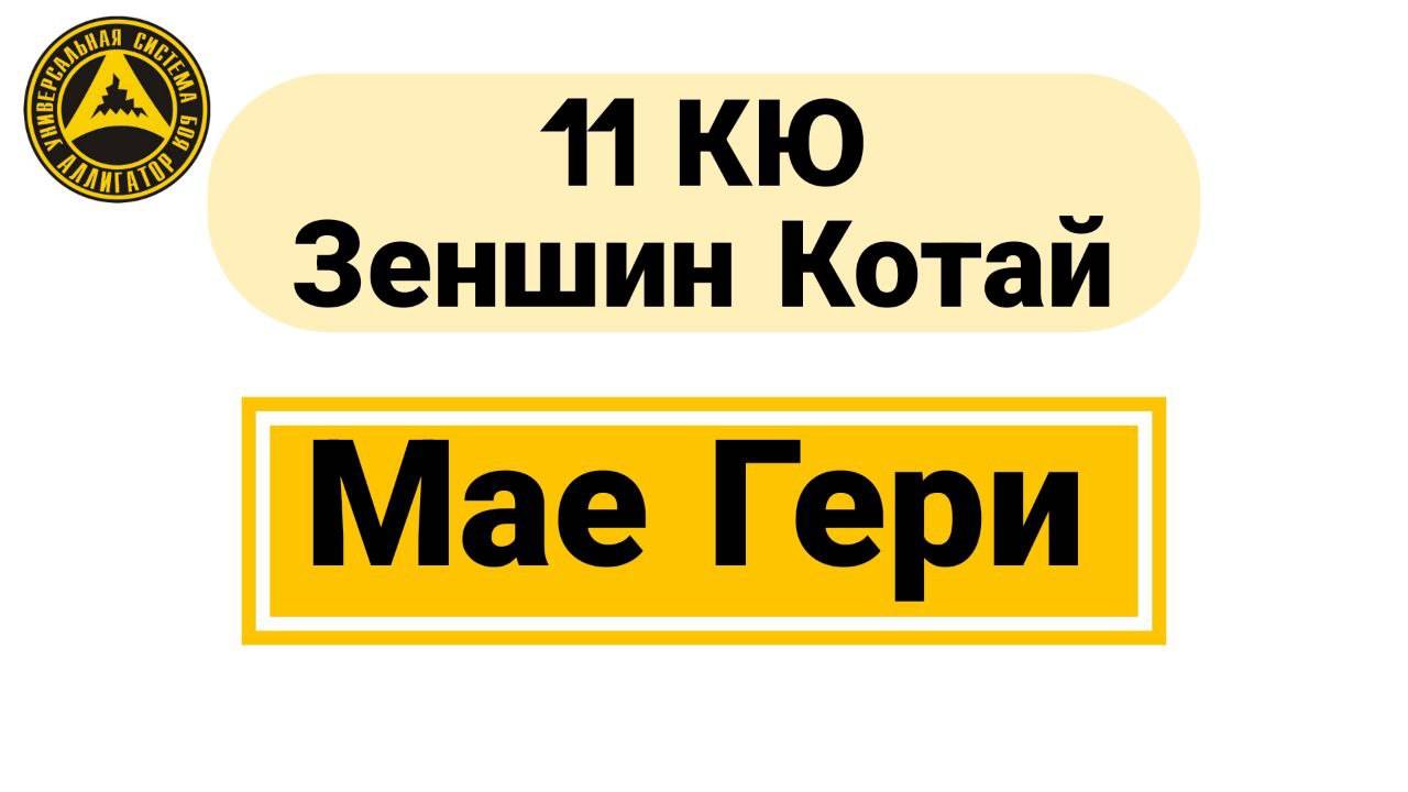 11 Кю Зеншин Котай Мае Гери