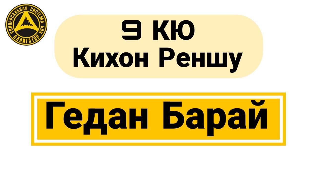 9 Кю Кихон Реншу: Гедан Барай