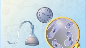 Опыт Пастера в ЕГЭ и ОГЭ по биологии. Опровержение теории самозарождения