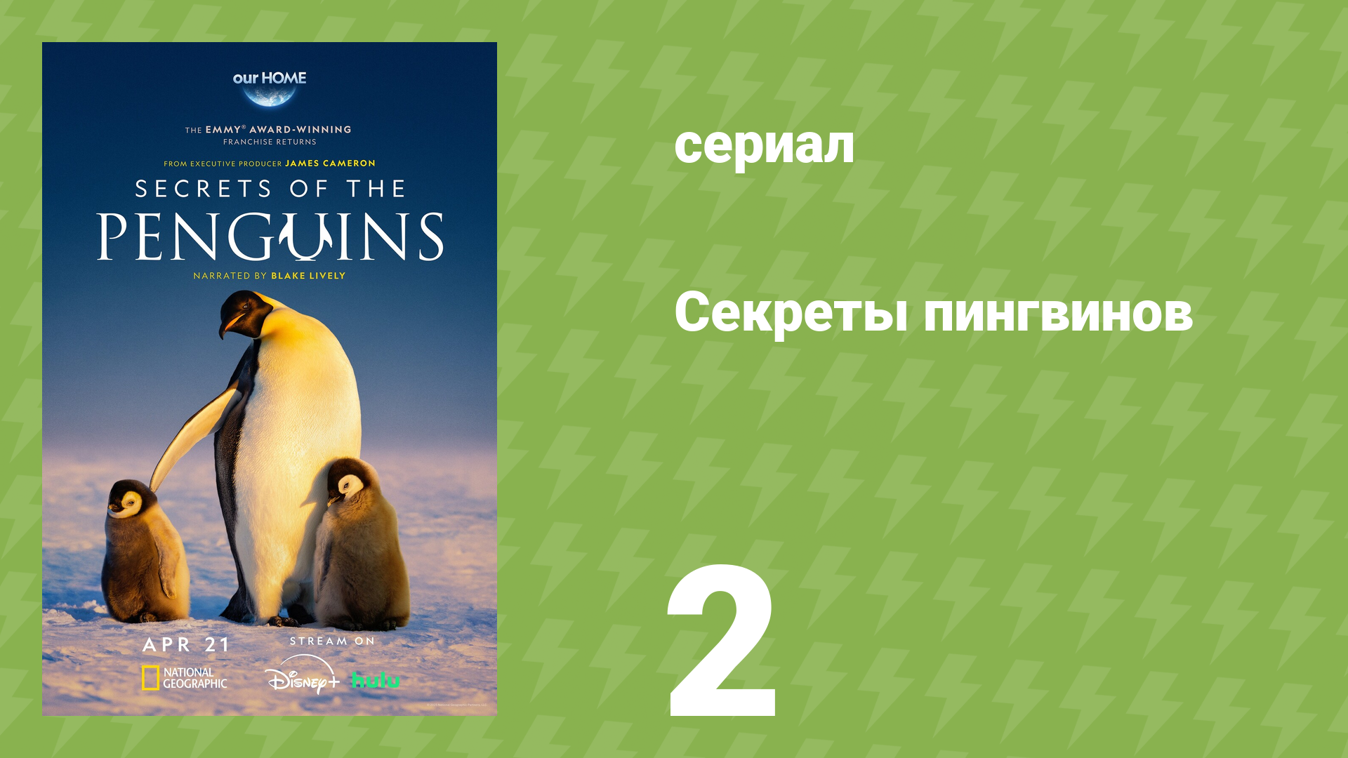 Секреты пингвинов 2 серия «Выживает умнейший» (документальный сериал, 2025)