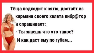 Теща походит к зятю и достает вибр@тор. Новые Анекдоты! Свежие Анекдоты! Юмор! Смешные анекдоты!