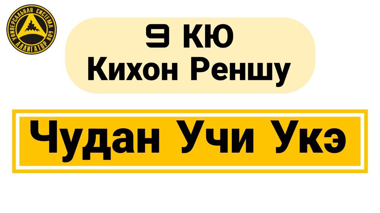 9 Кю Кихон Реншу: Чудан Учи Укэ