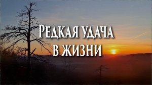 🌺Редкая удача в жизни