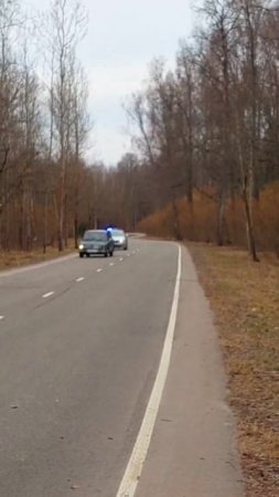 Переворот авто в лесу