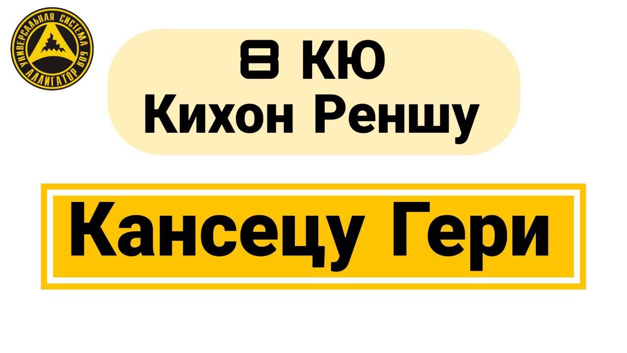 8 Кю Кихон Реншу: Кансецу Гери