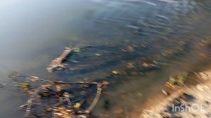 путешествие сплав по реке Нара, от Таширово до Воскресенского пассажа. 25-08-2024