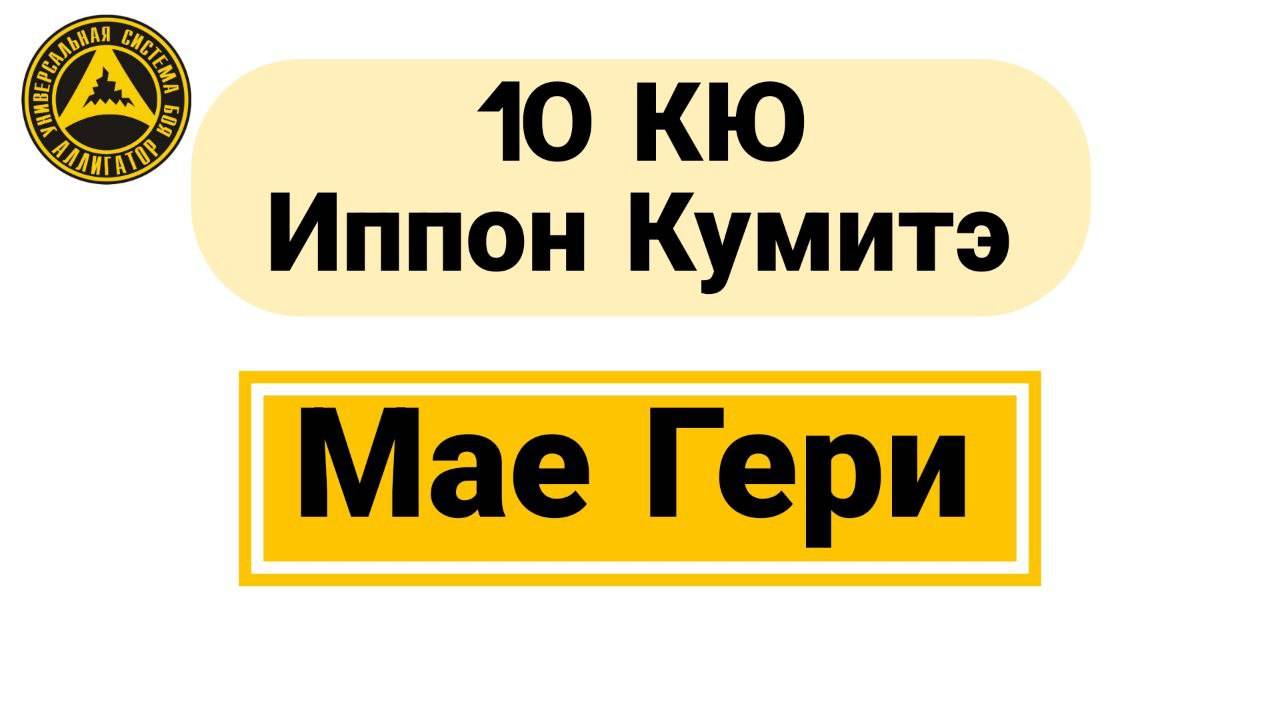 10 Кю Иппон Кумитэ: Мае Гери