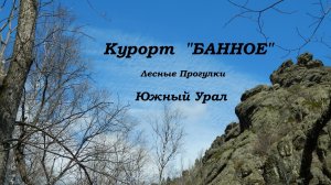 Лесные прогулки. Курорт #Банное