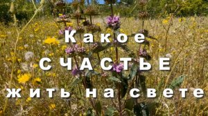 Посмотри, как мир красив. Какое счастье жить на свете. Позитивная песня