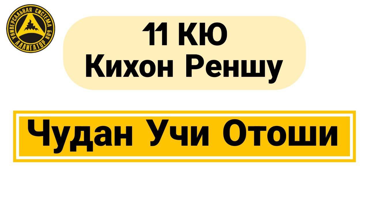 11 Кю Кихон Реншу Чудан Учи Отоши