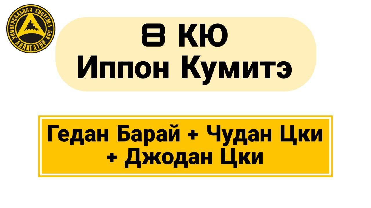 8 Кю Иппон Кумитэ: Гедан Барай + Чудан Цки + Джодан Цки