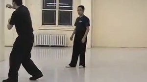 Хай Ян. Применение Багуачжан