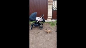 АПРЕЛЬ .