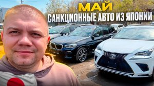 Санкционные автомобили из Японии❓ Обзор стоянки❗ Что заказывали наши клиенты с аукционов❓