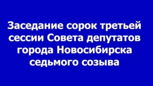 Отчет о выполненных наказах депутатов за 2024 год представила мэрия на сессии Горсовета, май 2025г.