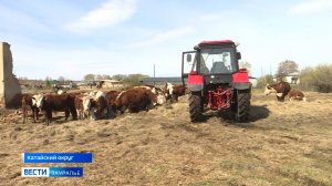 Участник СВО развивает сельское хозяйство