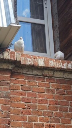 Мгновения, которые поймала в камеру