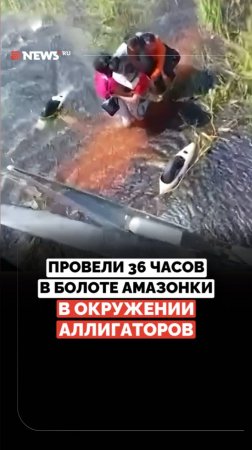 В Боливии самолет рухнул в болото, кишащее крокодилами. Как пассажирам удалось выжить?