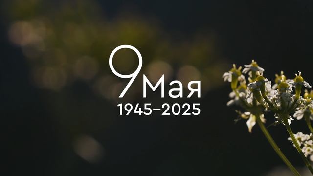 80 лет Великой Победе. Стебель