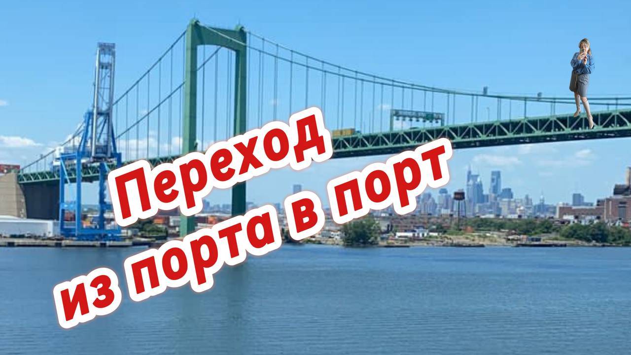 Переход из порта в порт. Такая работа. Мост. Смотреть до конца. Дельфины в море в дикой природе.