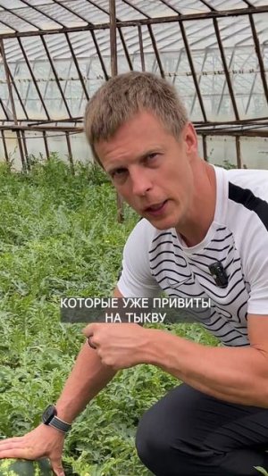 АРБУЗ ЗА 2 МЕСЯЦА🍉  В ЧЕМ СЕКРЕТ?