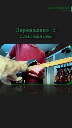 Ibanez Roadstar II 1983 + кот - Paul Gilbert уроки  #урокигитары