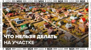 Дачникам напомнили об ответственности за некоторые виды работ на участках - Москва 24