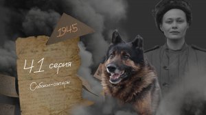 Собаки-сапёры