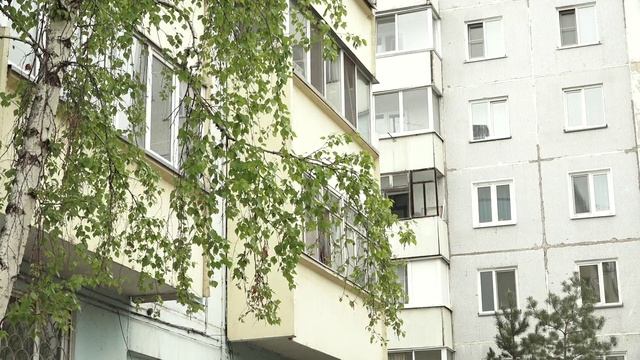 Новая детская площадка, газоны, тротуары и скамейки: двор по Торосова,26 в Абакане меняет облик