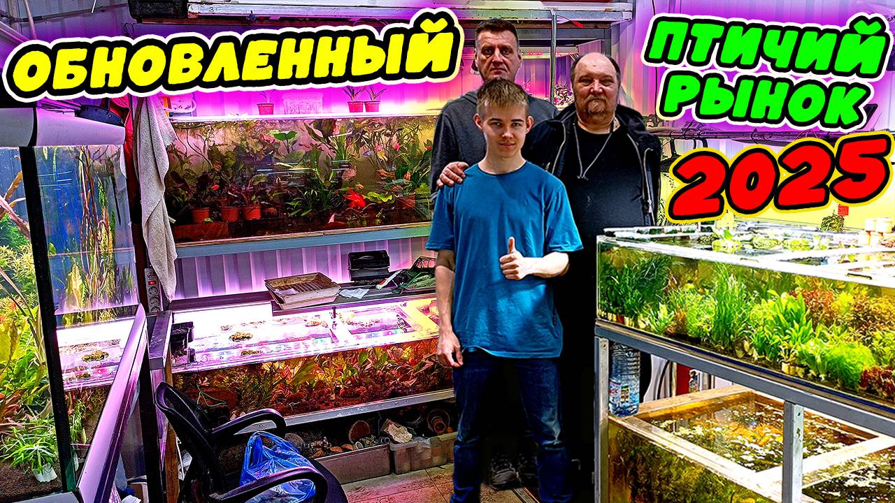 Обновлённый птичий рынок 2025 [Новые павильоны с аквариумными рыбками и растениями]