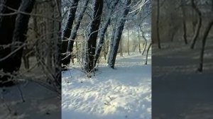 Приветствую всех друзей,в прекрасный,уже Зимний денёк!!