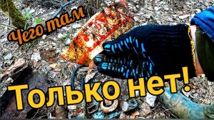 Субботник в лесу! Очищаю природу от хлама,набрал металлолома выкинутого свиньями...