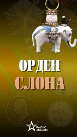 ИСТОРИЯ НАГРАДЫ: за что вручался «Орден слона»?