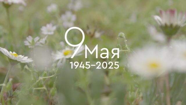 80 лет Великой Победе. Луг