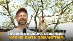 НЕ ДАЙТЕ СЕБЯ ОБМАНУТЬ. Как выбрать качественный посадочный материал.