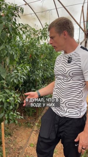 КАК ОРГАНИЗОВАН ПОЛИВ 5000 ПЕРЦЕВ