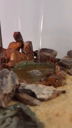 Иглистые мыши