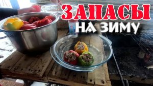 ЖИЗНЬ В ГАРАЖЕ / Запасы на зиму
