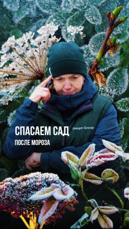 Внезапные заморозки застали врасплох и повредили ваши растения?
