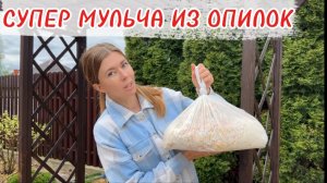 ОПИЛКИ В ОГОРОДЕ: как правильно и эффективно использовать
