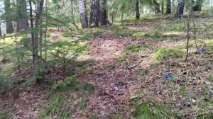 Сходила На Природу/Чуть-чуть 🤏 Поработала, и в Кафе/2.05.25