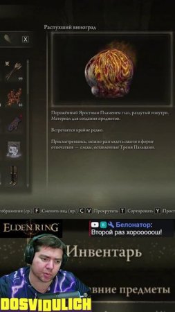 Распухший виноград ★ Elden Ring #eldenring #shadowoftheerdtree