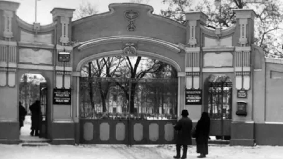 АНАСТАСИЯ АФАНАСЬЕВА I Голоса говорят I Cтихи психиатра из Харькова о сумасшедших I Сабурова дача