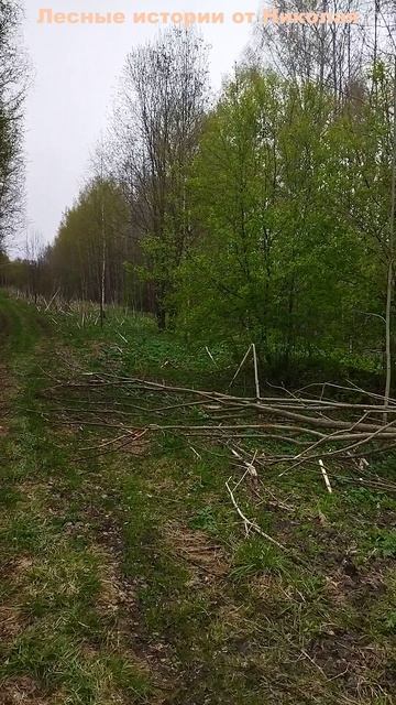 Майский концерт под дождем 2025