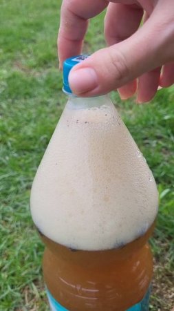 🍺 Натуральный квас на берёзовом соке.
Делали сами. Вкус отличный 👍