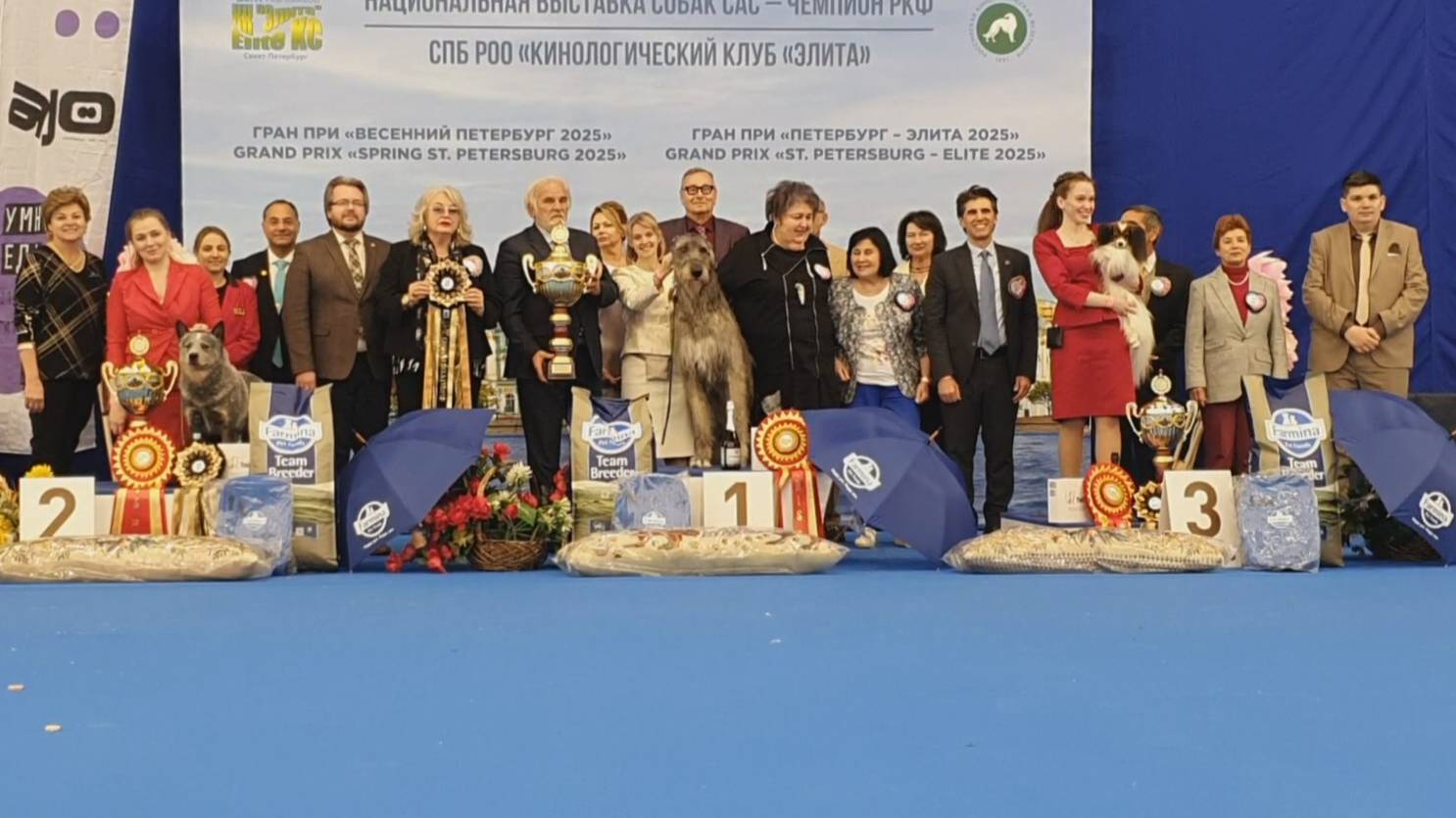 27.04.2025, СПб. Клуб "Элита" (РКФ, ОАНКОО). Рейтинговая выставка "ГРАН ПРИ ПЕТЕРБУРГ-ЭЛИТА"