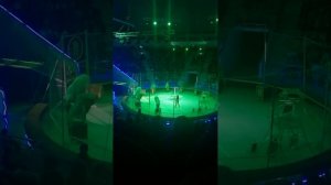 3 декабря 2017 г.(1)