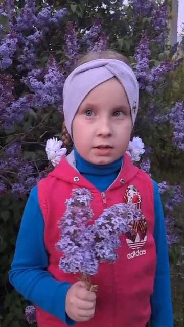 Антонова София