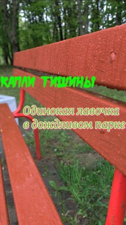 Капли тишины: Одинокая лавочка в дождливом парке