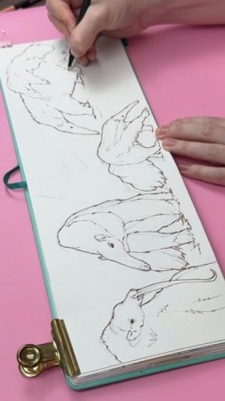 🐹 Курс «Акварельный зоопарк» в Dari Art прямо сейчас! 
Рисуем интересные скетчи акварелью.